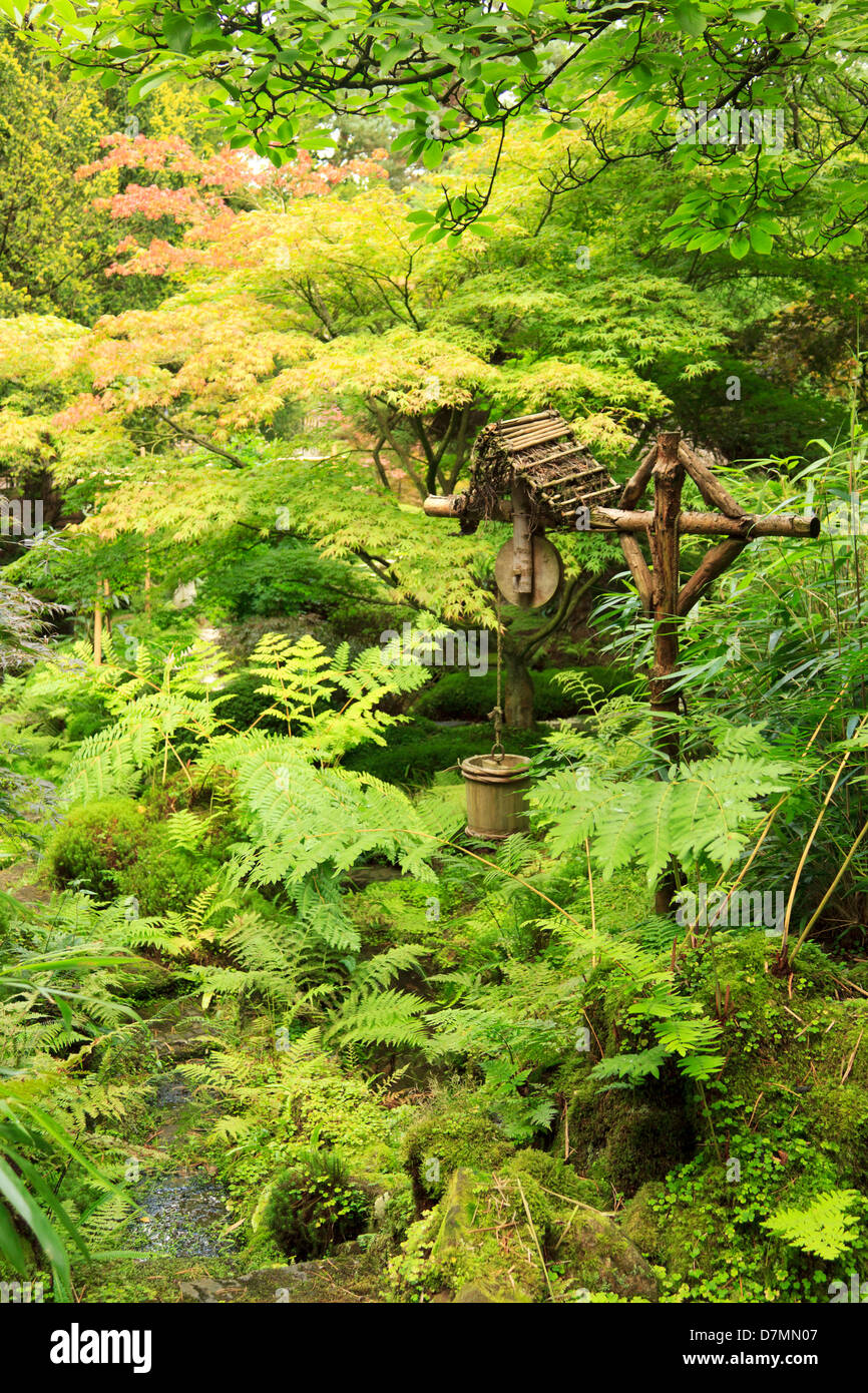 A Japanese garden with a traditional well bucket in focus at Tatton ...