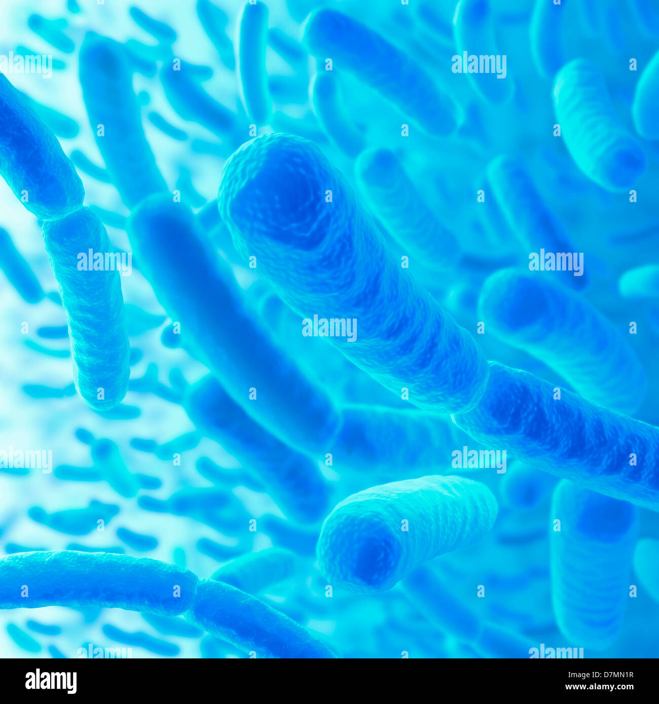 Rod Bacteria High Resolution Stock Photography and Images - Alamy