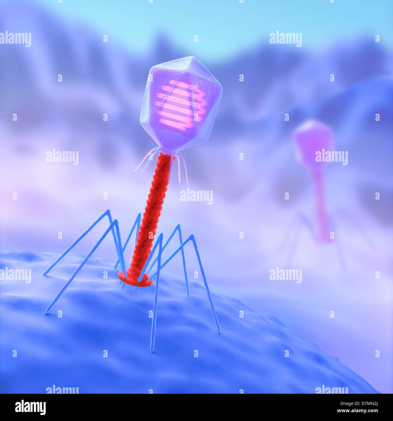 Rod Shaped Virus High Resolution Stock Photography and Images - Alamy