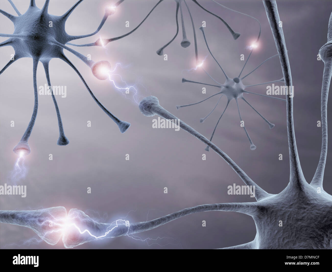 Neural network, artwork Stock Photo - Alamy Neural network, artwork Stock Photo - Alamy