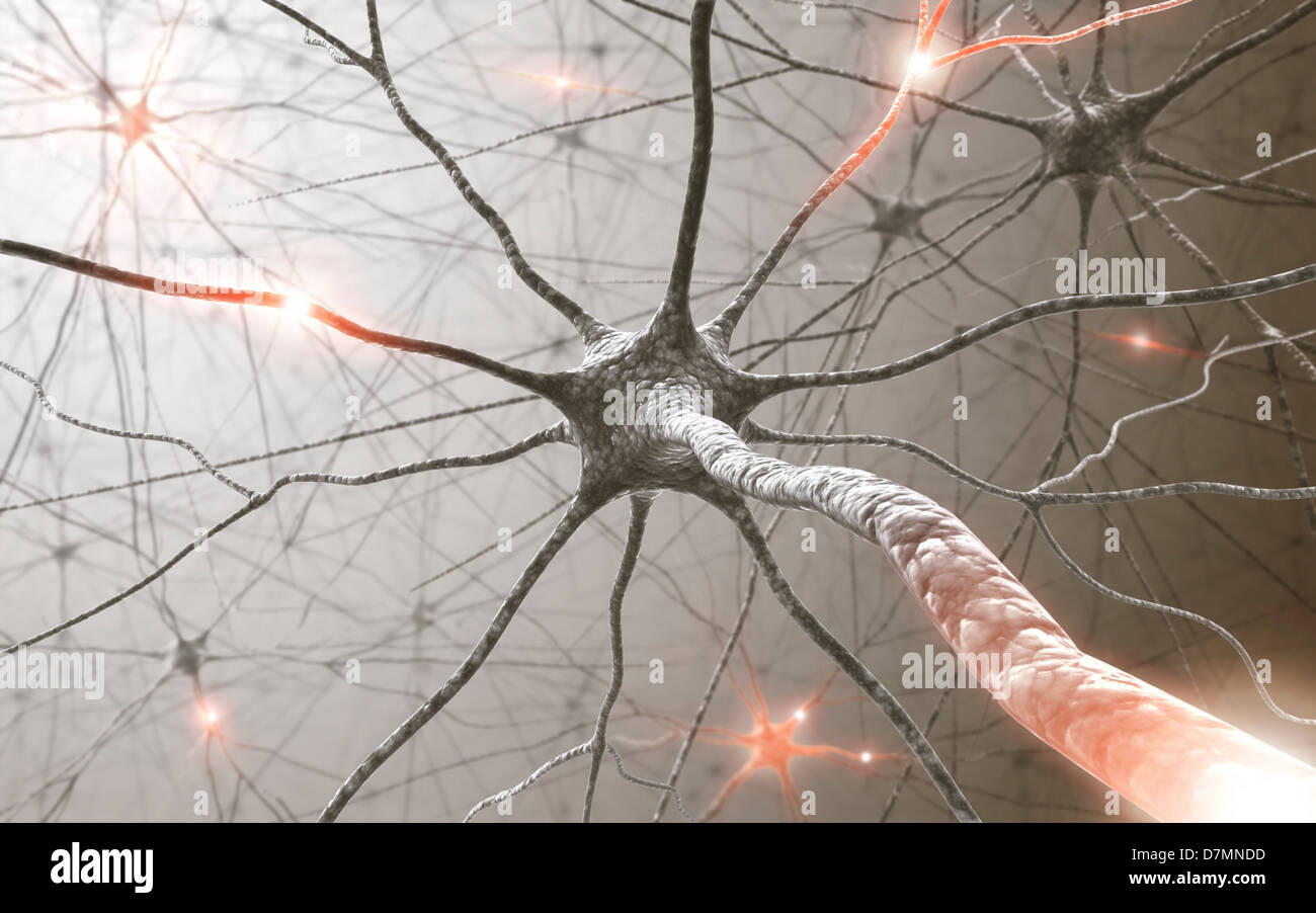 Neural network hi-res stock photography and images - Alamy