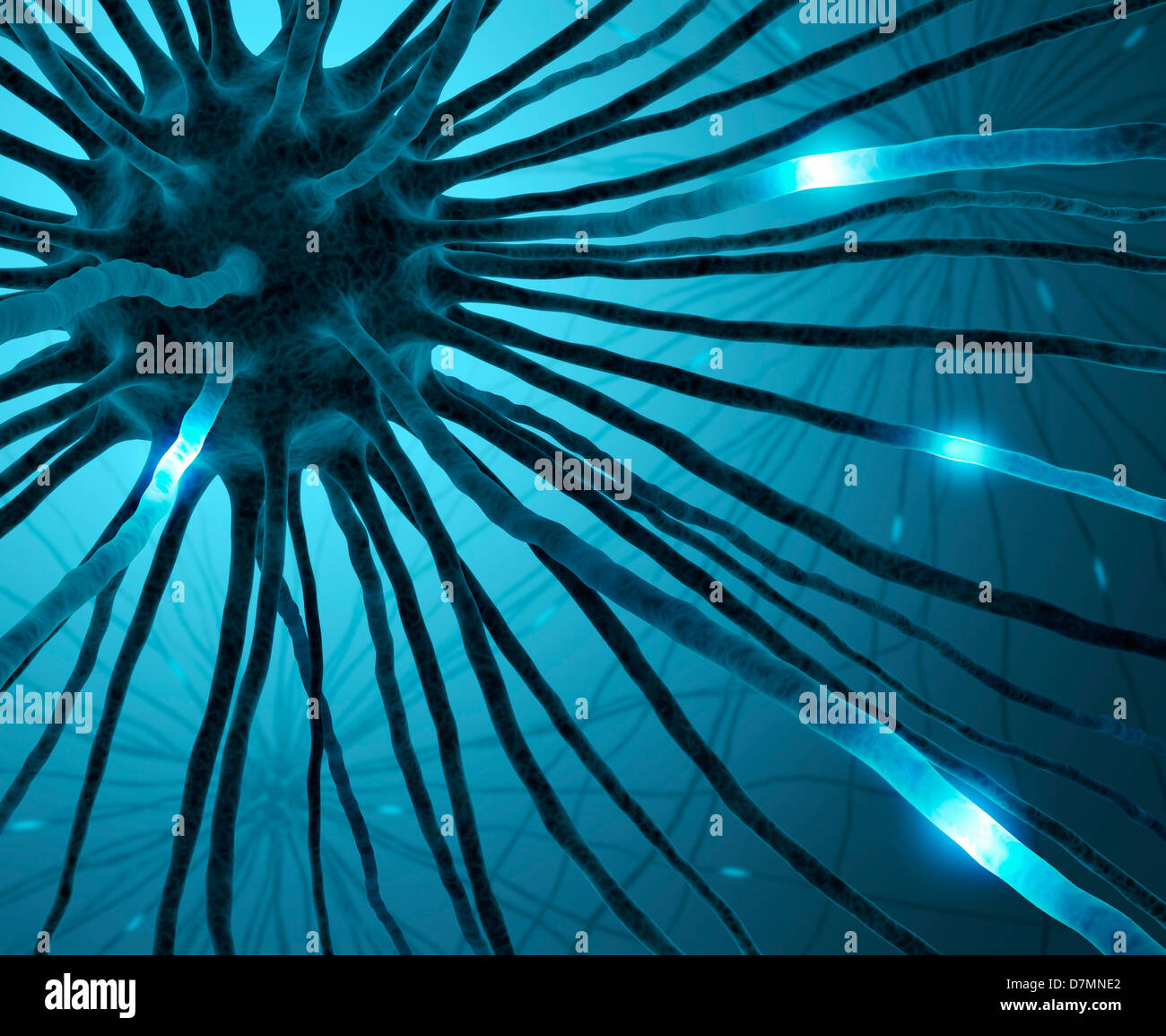 Nerve cell, artwork Stock Photo - Alamy