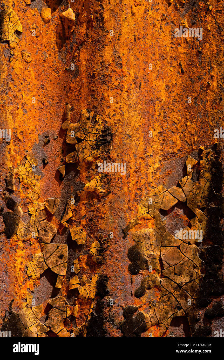 USA, Arizona, Tucson, Texture Stock Photo - Alamy