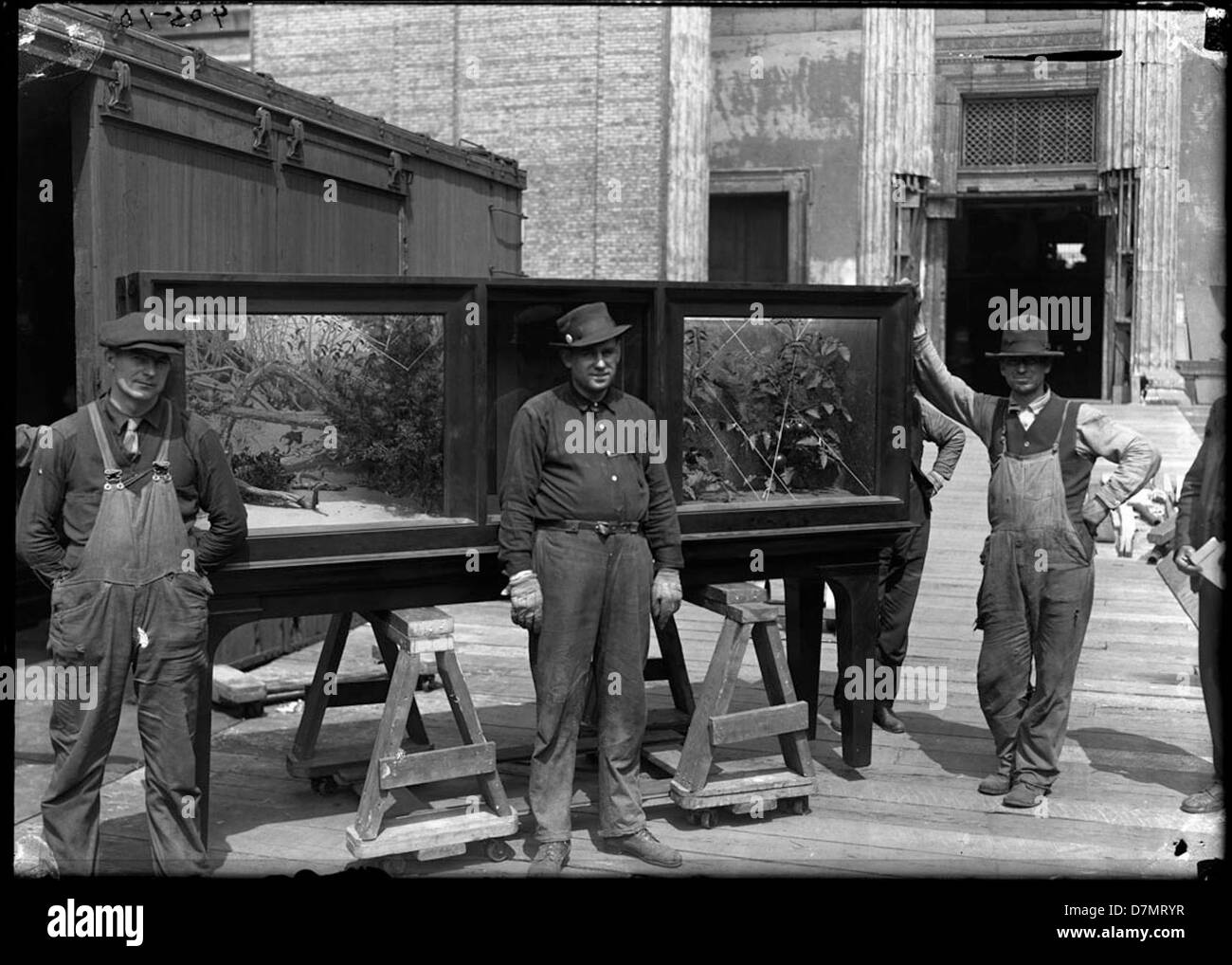 Extension cases hi-res stock photography and images - Alamy