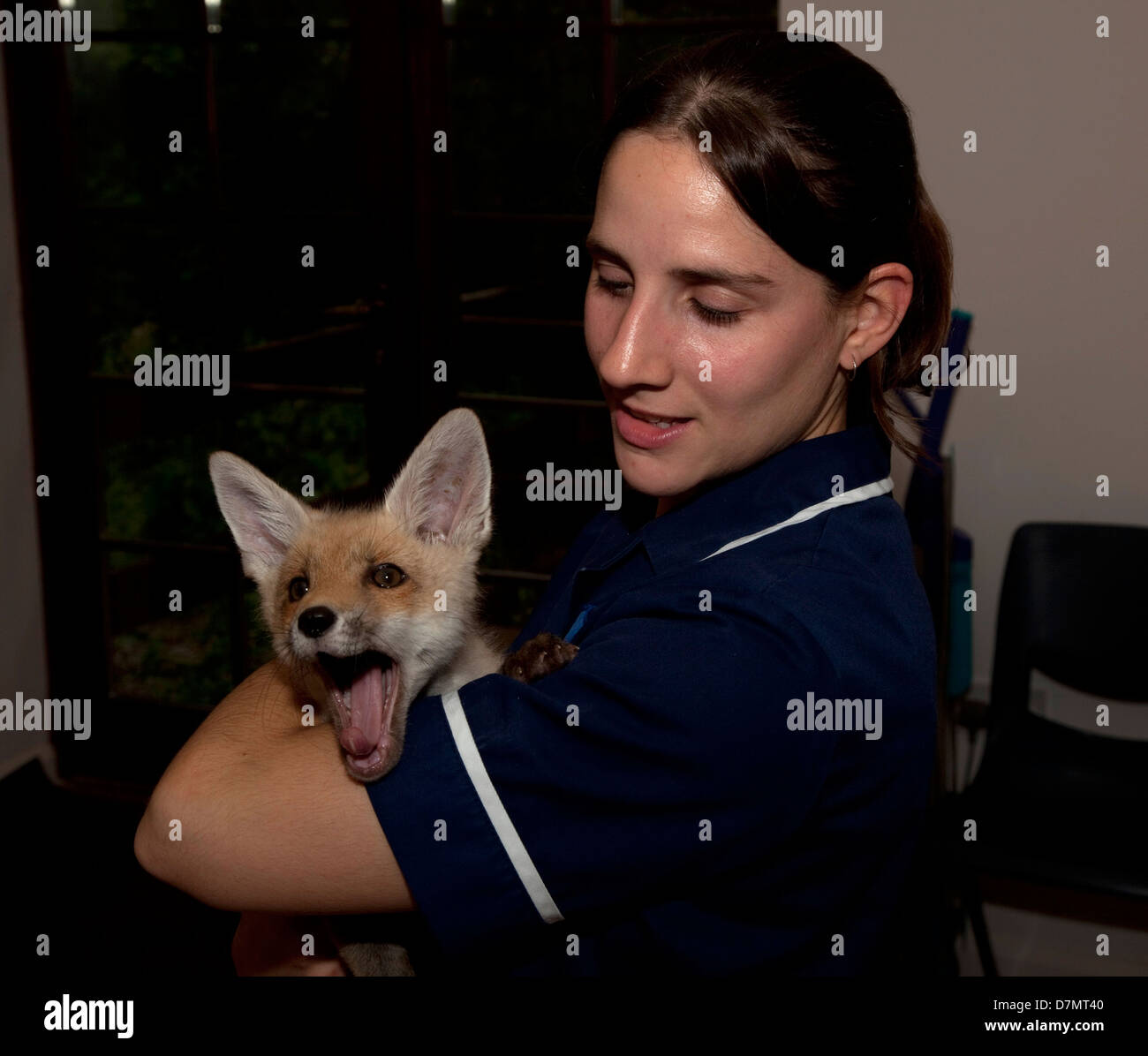 Hand cub hi-res stock photography and images - Alamy