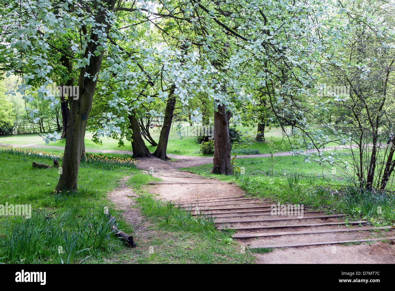 Shady path in the garden of Pembroke Lodge, Richmond Park Stock Photo ...