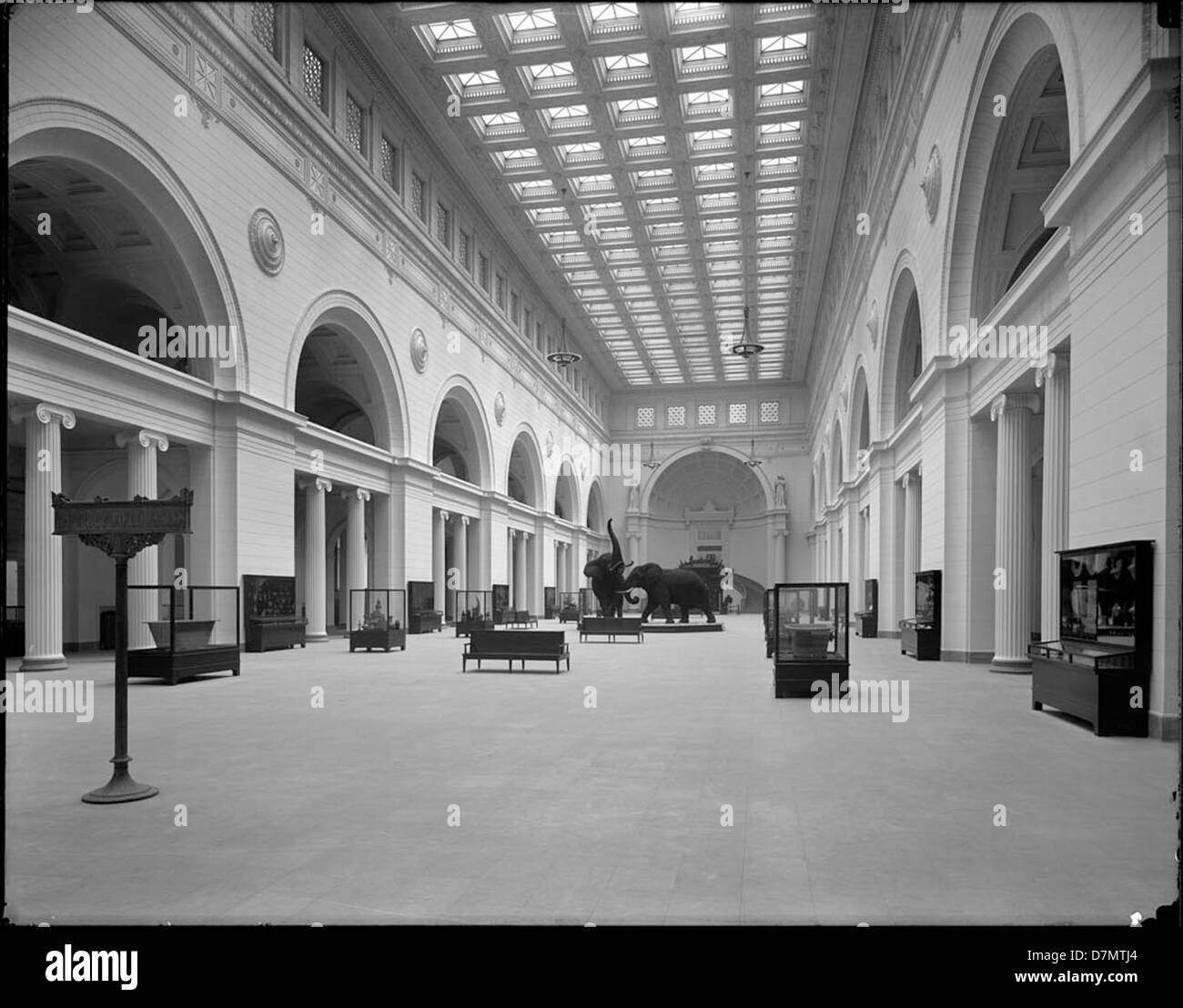 Stanley Field Hall, located in the Field Museum of Natural History in ...