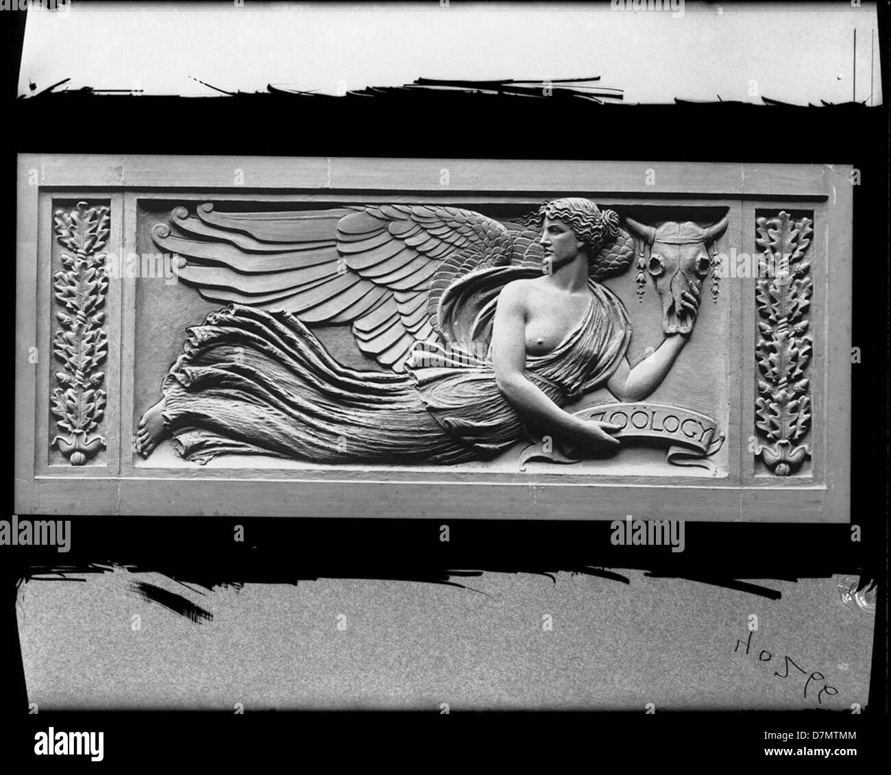 A zoology panel designed by Henry Hering showcases various animal forms ...