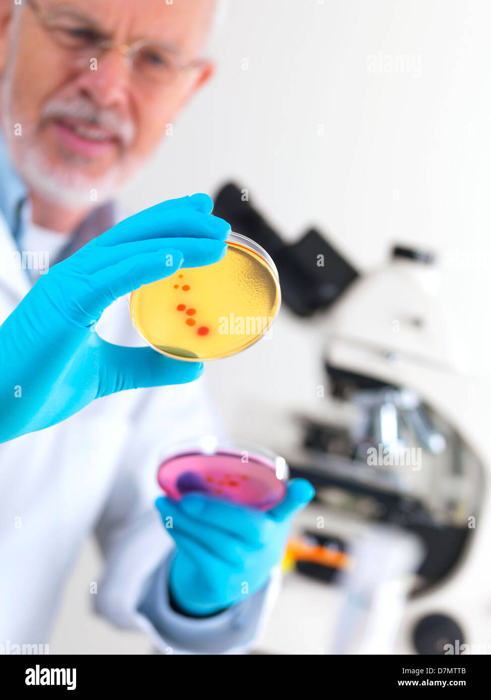 Glasses microbiology hi-res stock photography and images - Alamy