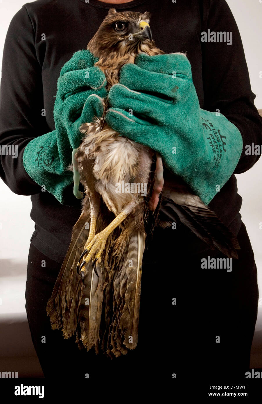 External fixators hi-res stock photography and images - Alamy