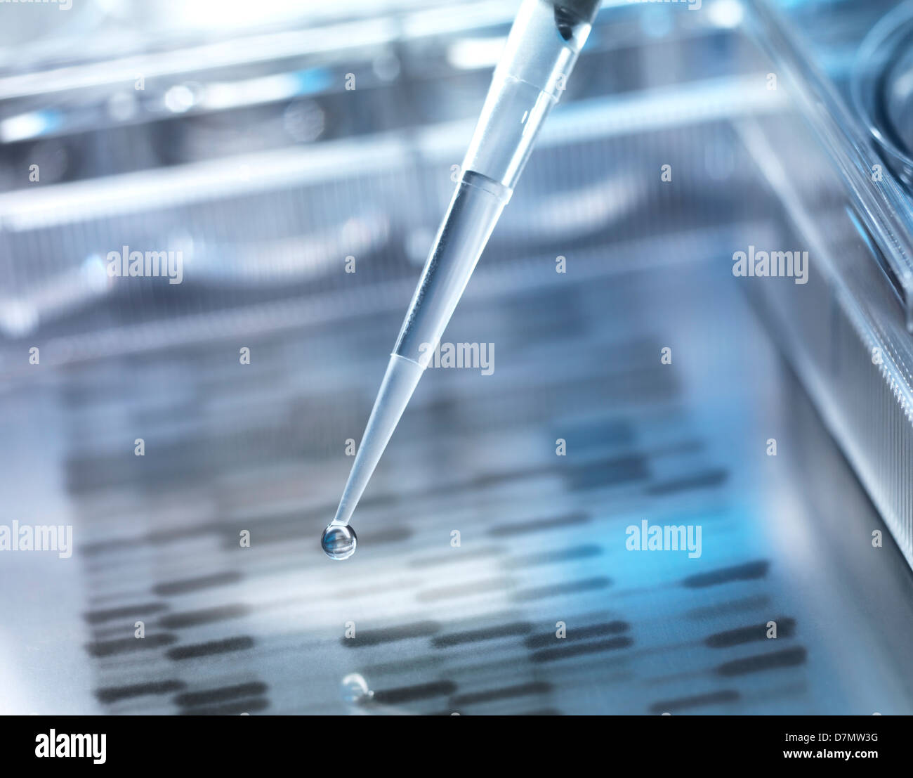 Genetic research, conceptual image Stock Photo - Alamy
