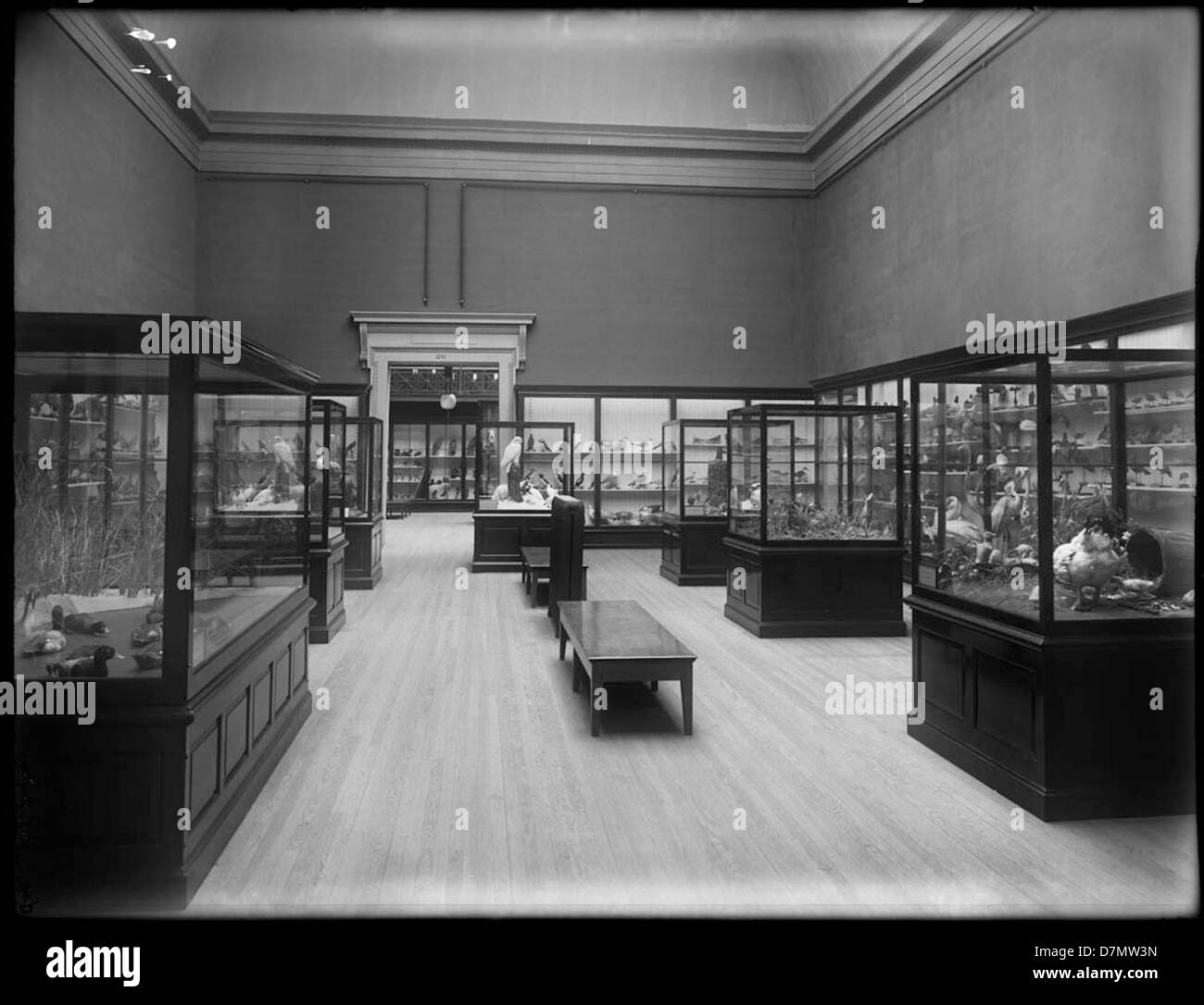 Avian field research Black and White Stock Photos & Images - Alamy