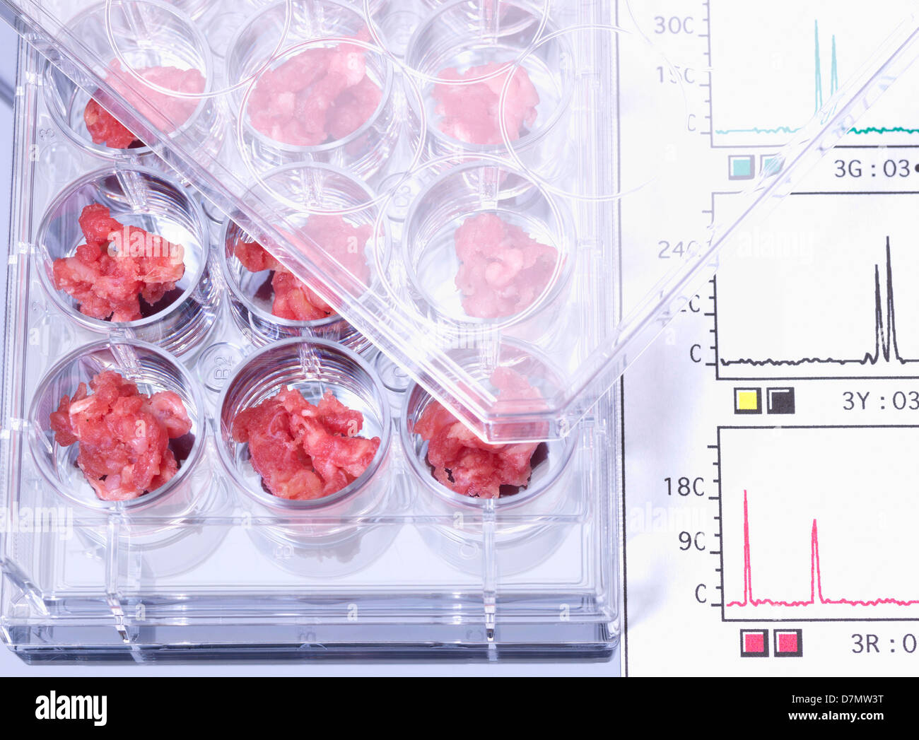 Laboratory testing food genetic hi-res stock photography and images - Alamy