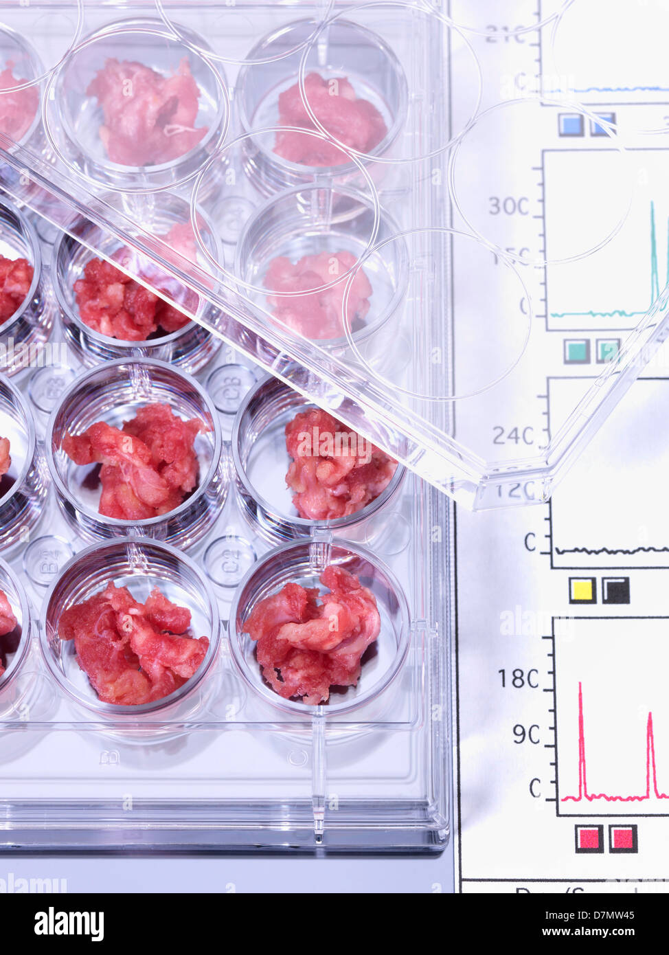 Meat dna testing hi-res stock photography and images - Alamy