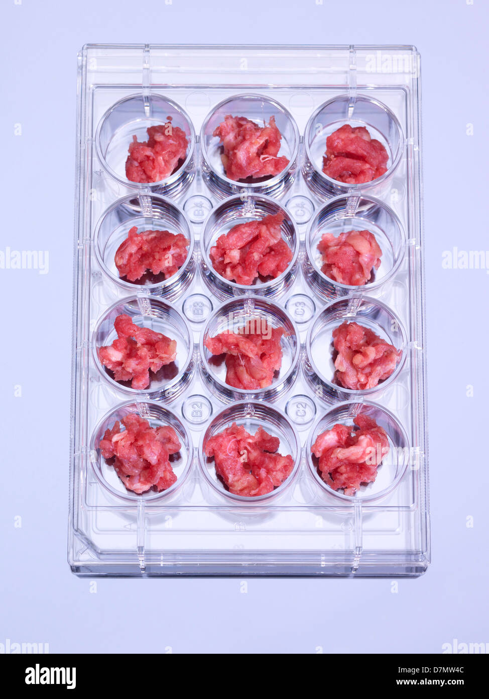 Test meat hi-res stock photography and images - Alamy