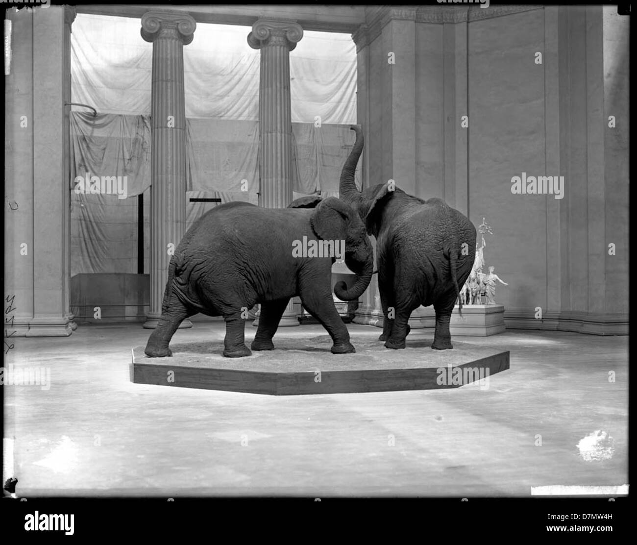 Back view african Black and White Stock Photos & Images - Alamy