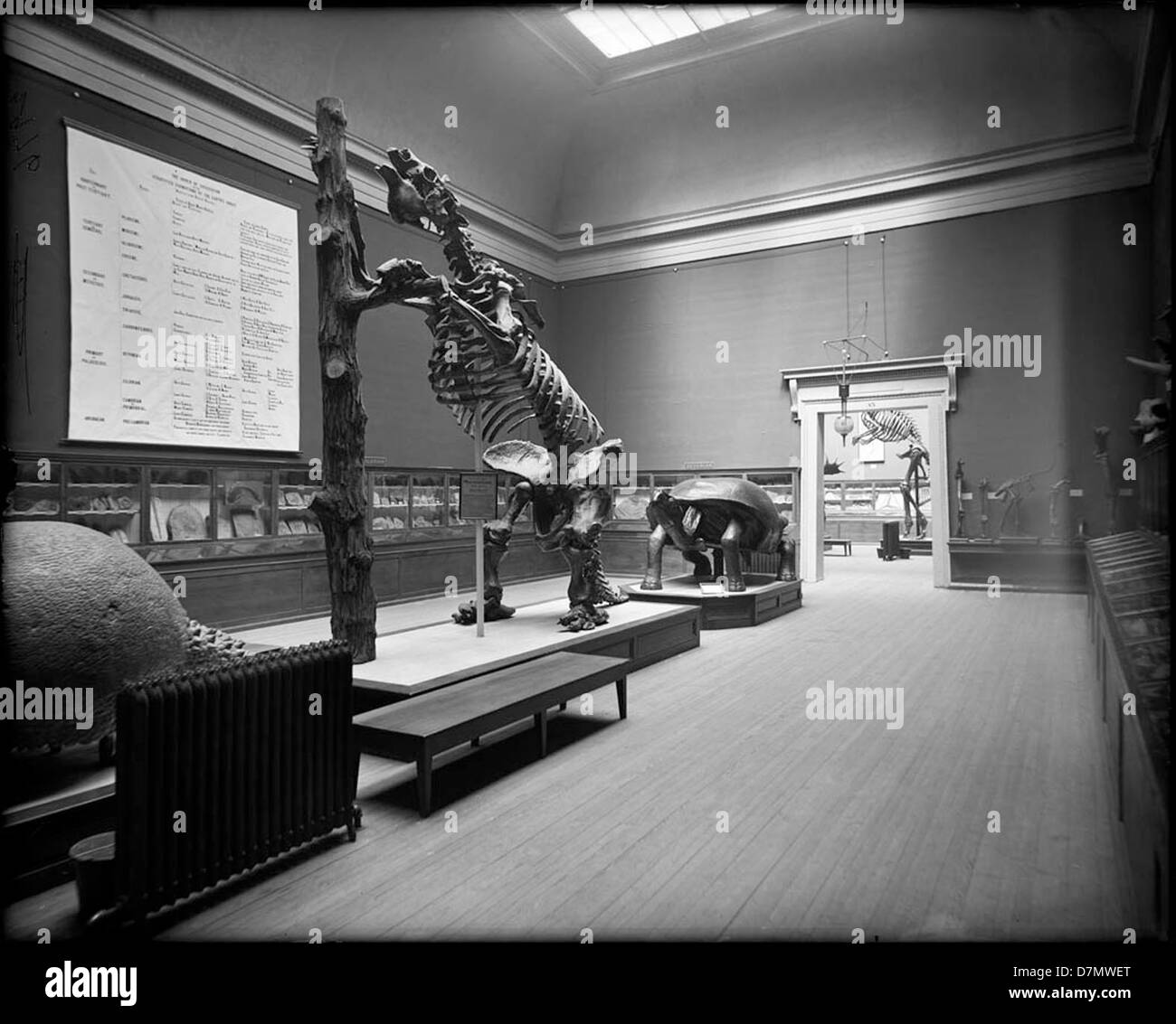 Hall 35 at the Field Museum of Natural History in Chicago showcases ...
