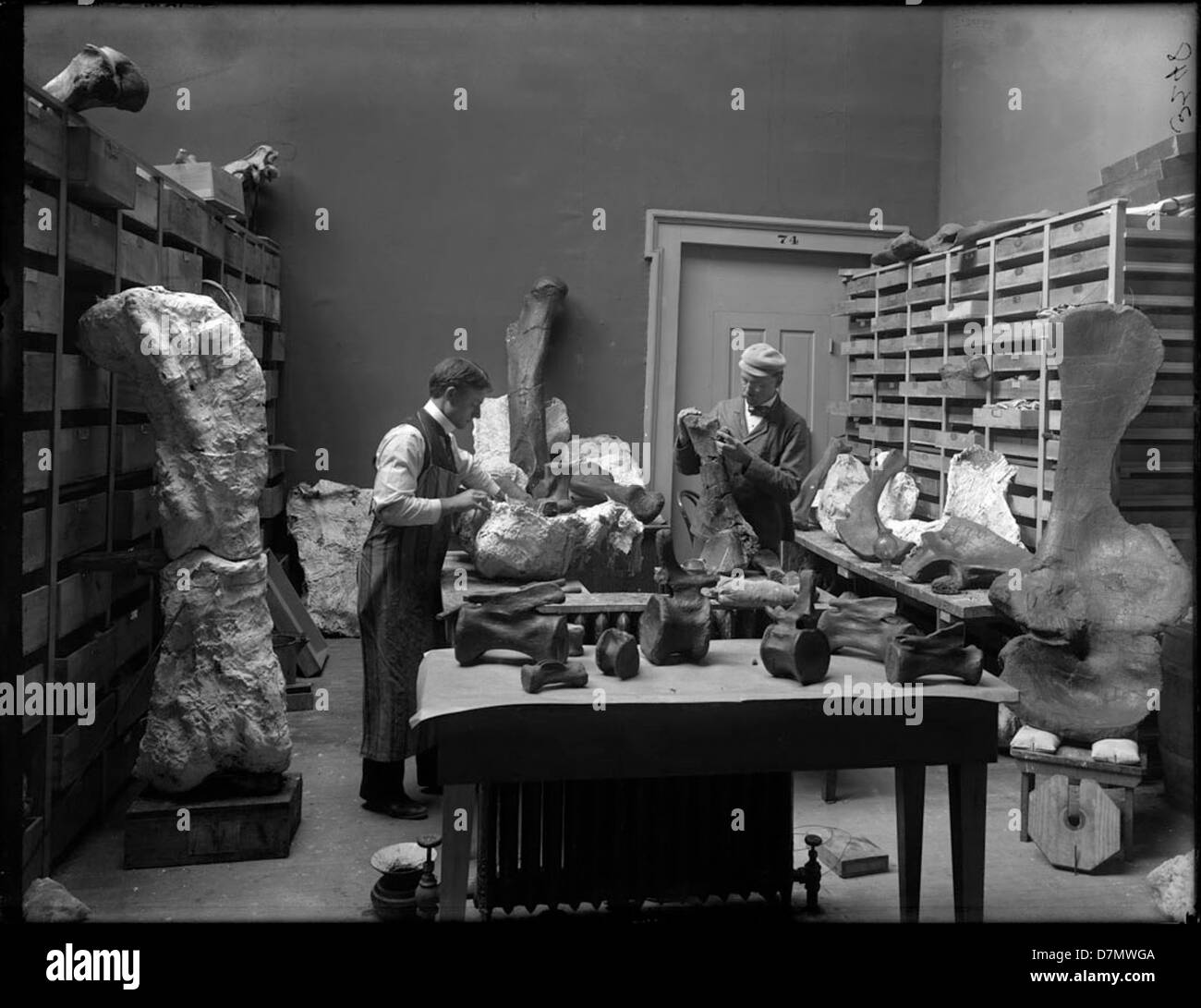 Paleontology Lab High Resolution Stock Photography and Images - Alamy