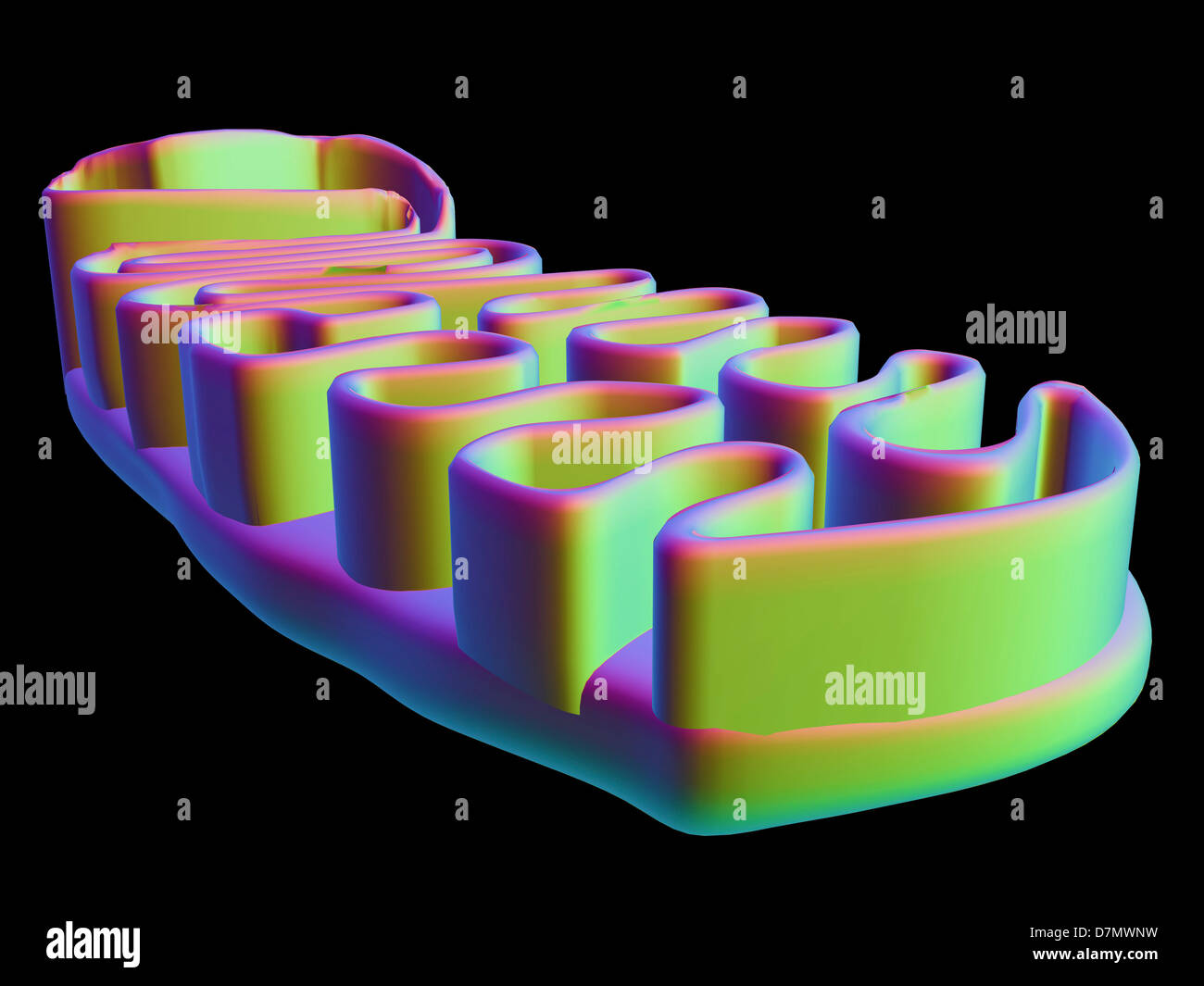 Mitochondrial dna hi-res stock photography and images - Alamy