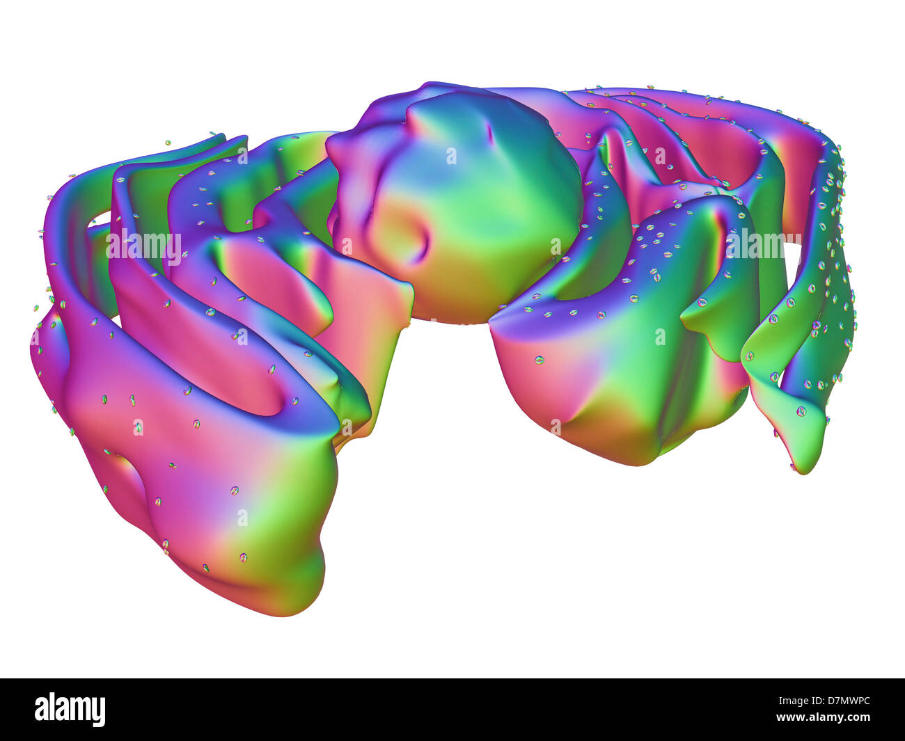 Endoplasmic Reticulum Model Ideas