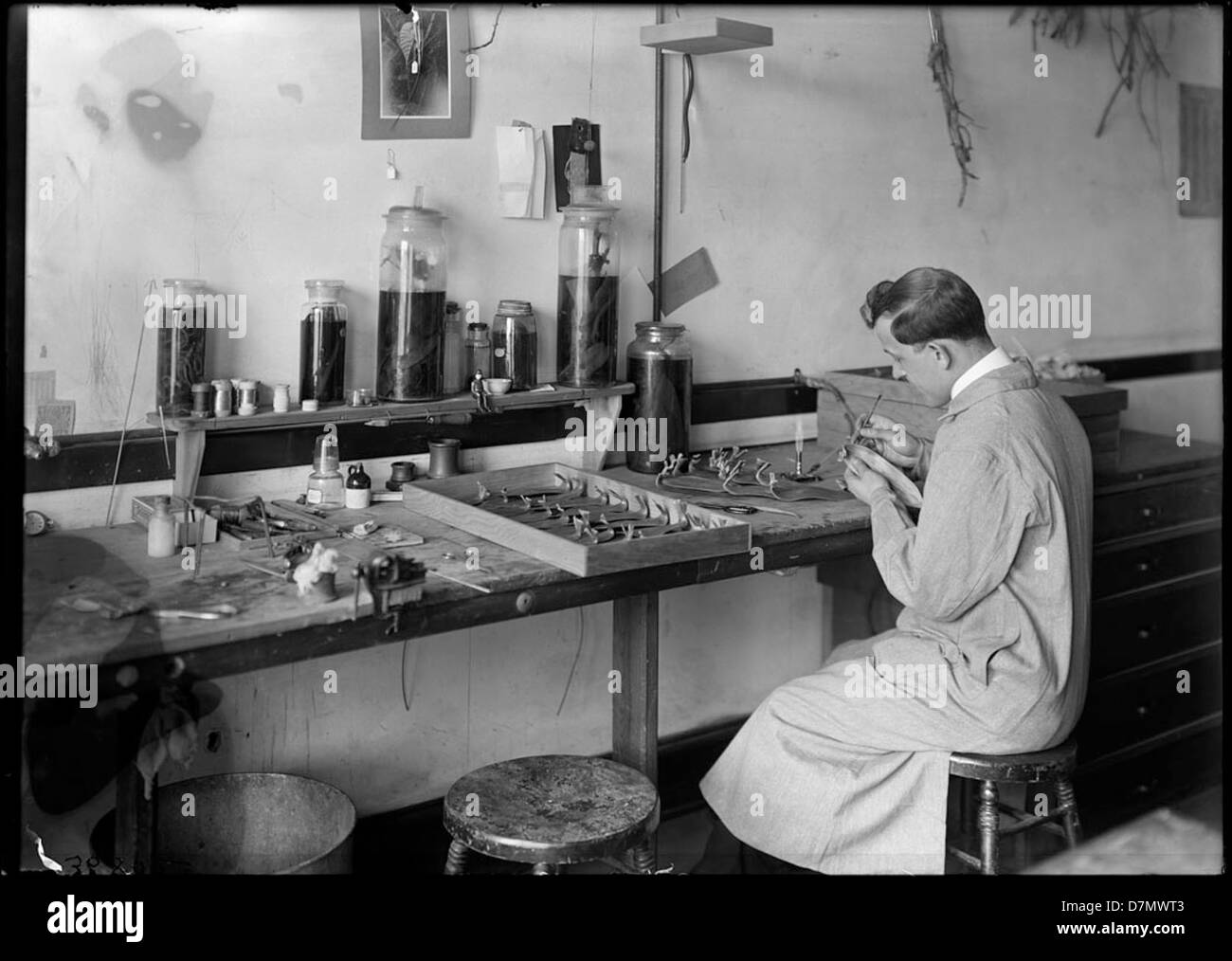 Milton Copulos, a plant model maker, is known for his work displayed at ...