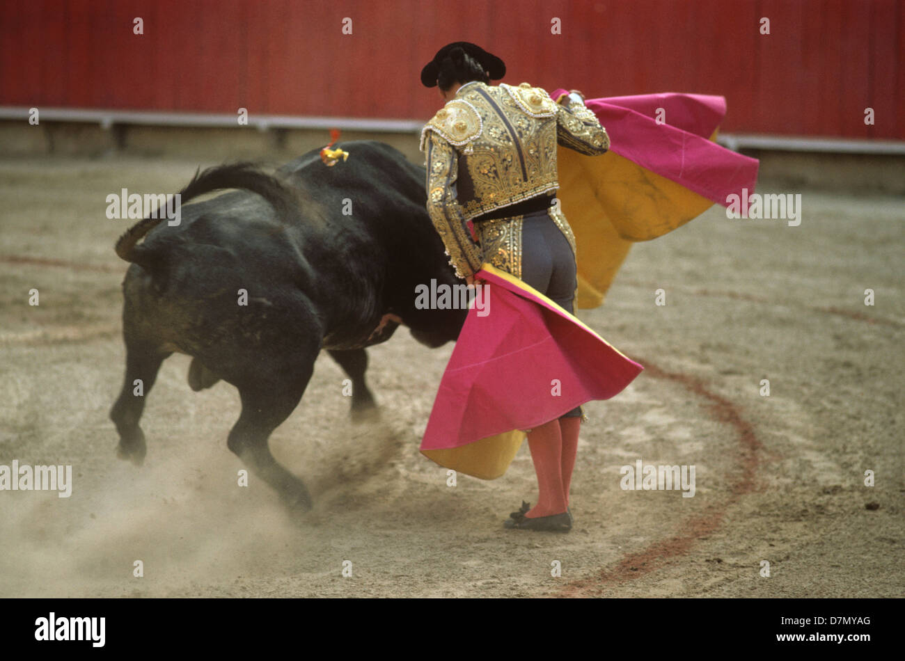 Bullfight and colombia hi-res stock photography and images - Alamy