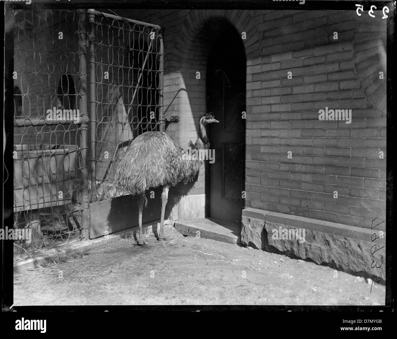 Lincoln park zoo early 1900s hi-res stock photography and images - Alamy