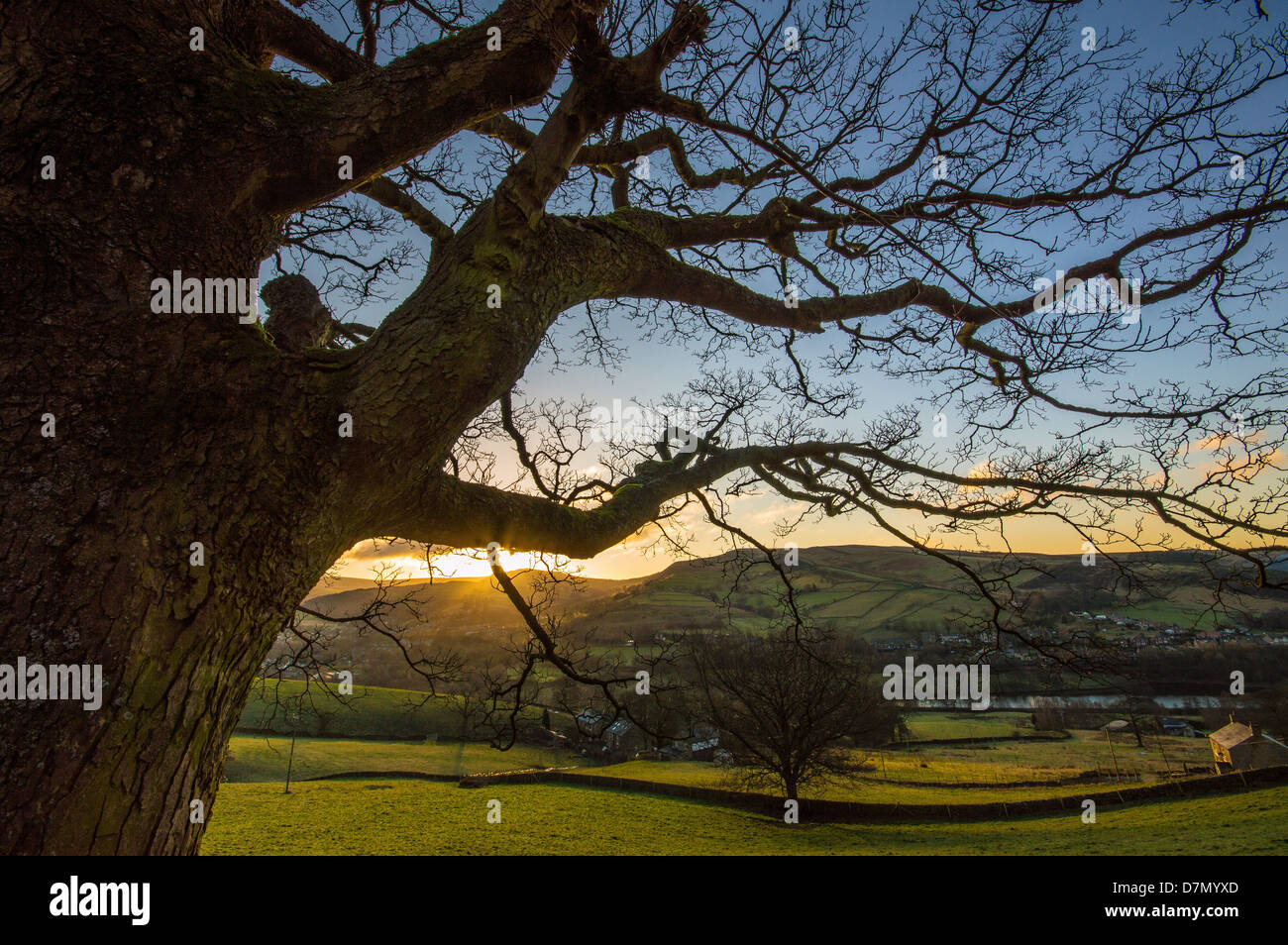 View from a Tree Stock Photo - Alamy