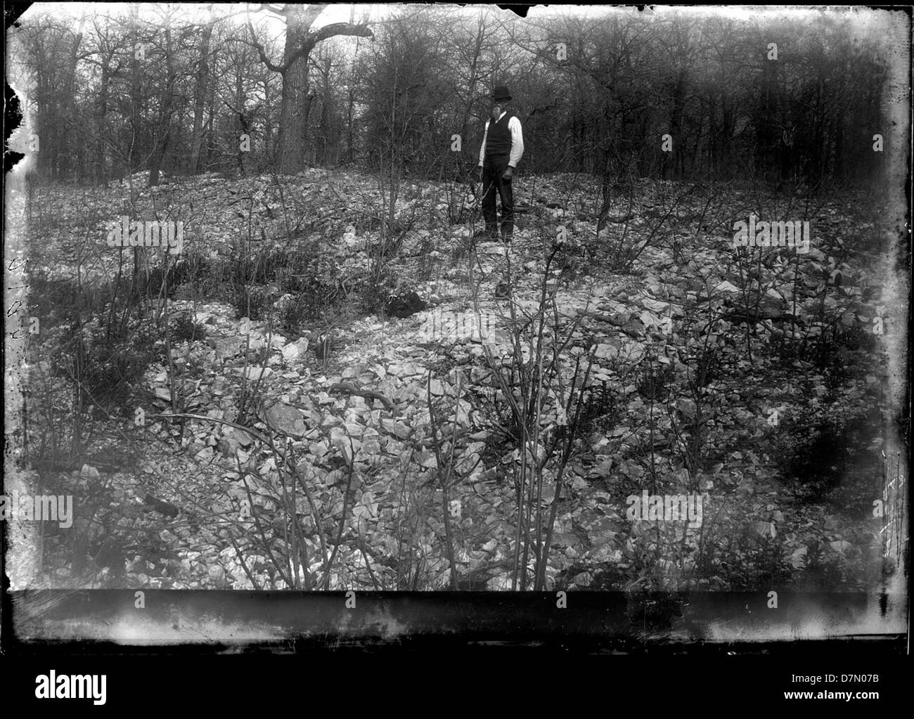 Man standing in field Stock Photo - Alamy