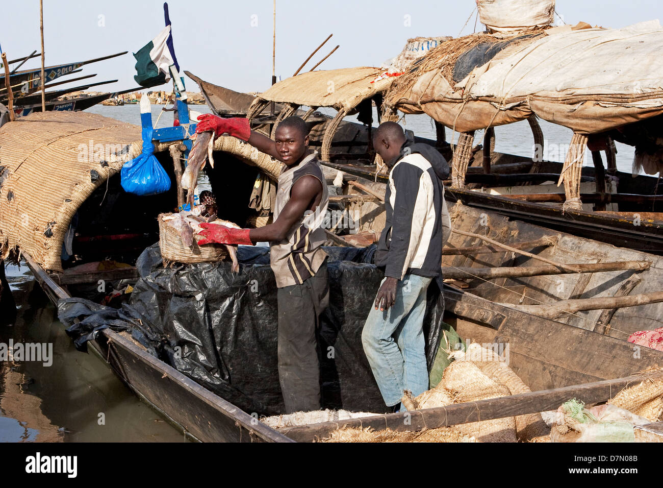 Fishermen Selling Fish Market From Boat High Resolution Stock ...