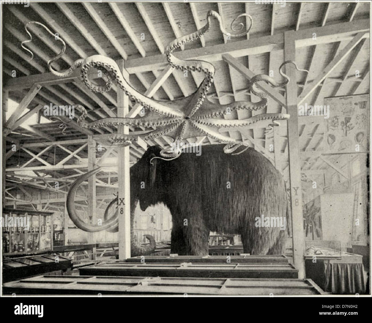 This 1893 display at the Chicago World's Fair features a mammoth and a ...