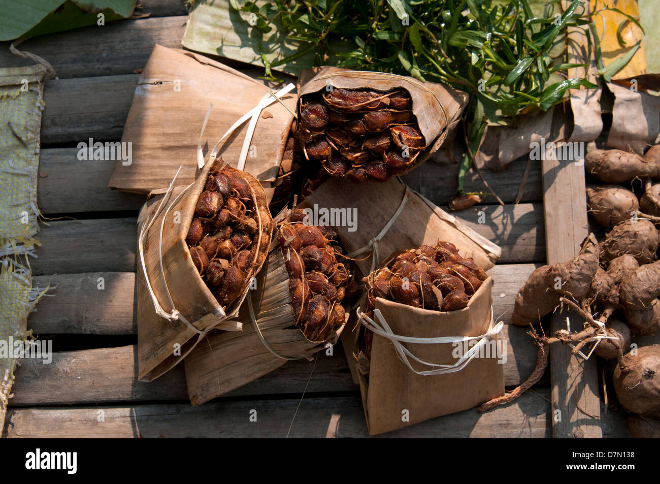 Bitter tasting plants hi-res stock photography and images - Alamy