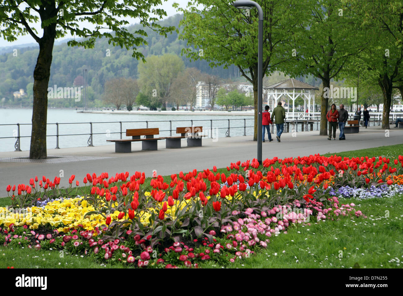 Bregenz Vorarlberg Austria Stock Photo - Alamy