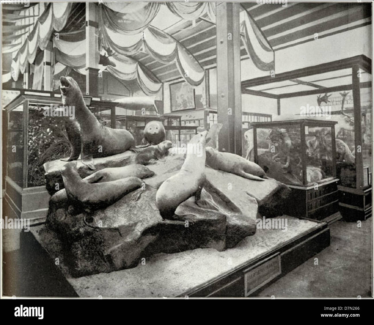 Diorama history hi-res stock photography and images - Alamy