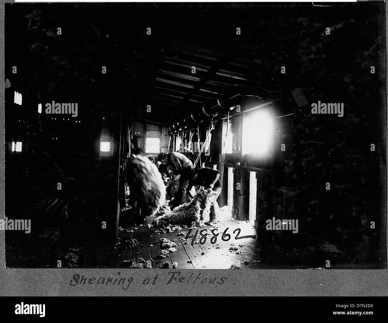 C. Harold Riggs and Elmer Riggs led an expedition for vertebrate ...