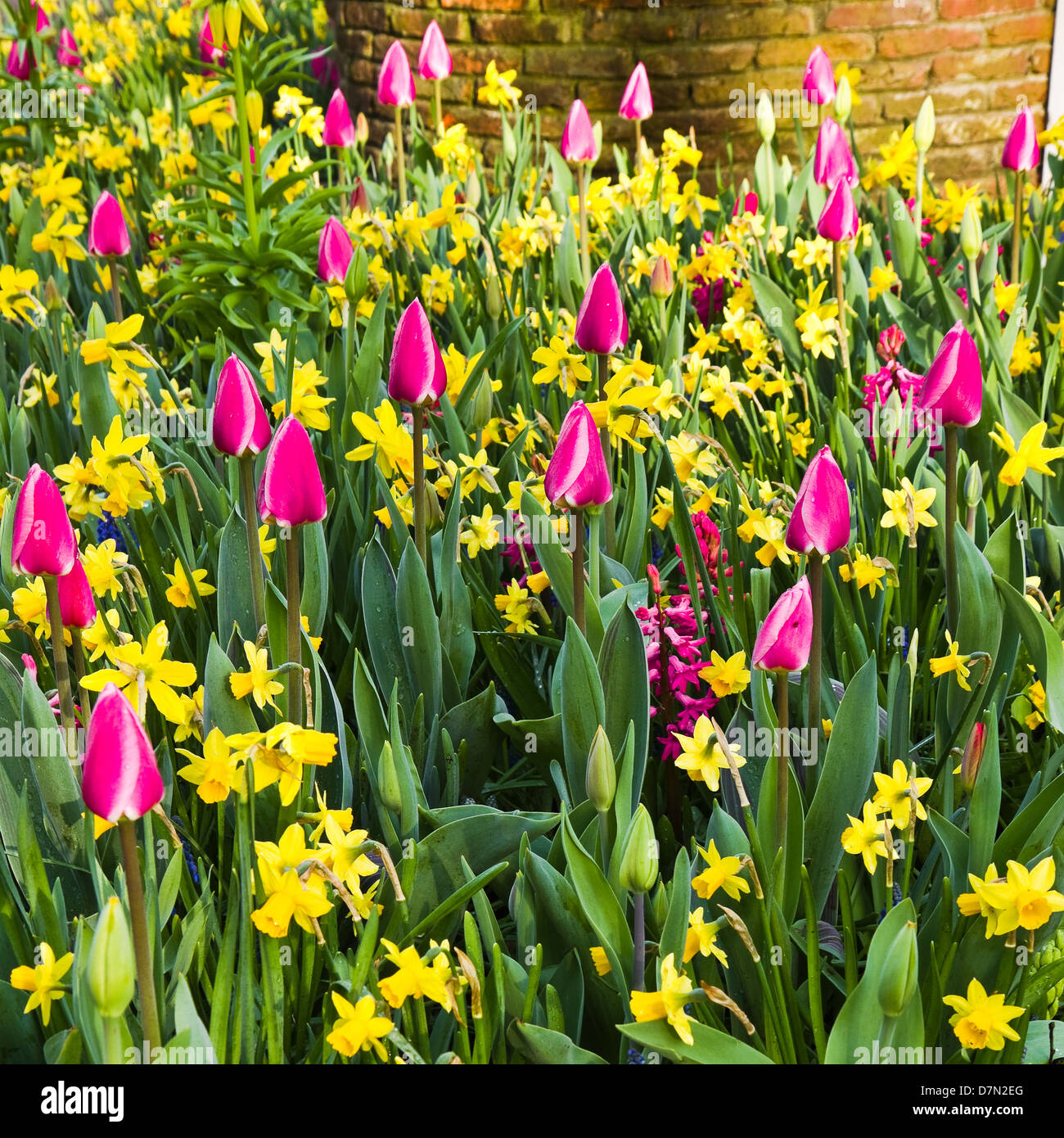 Spring square border hi-res stock photography and images - Alamy