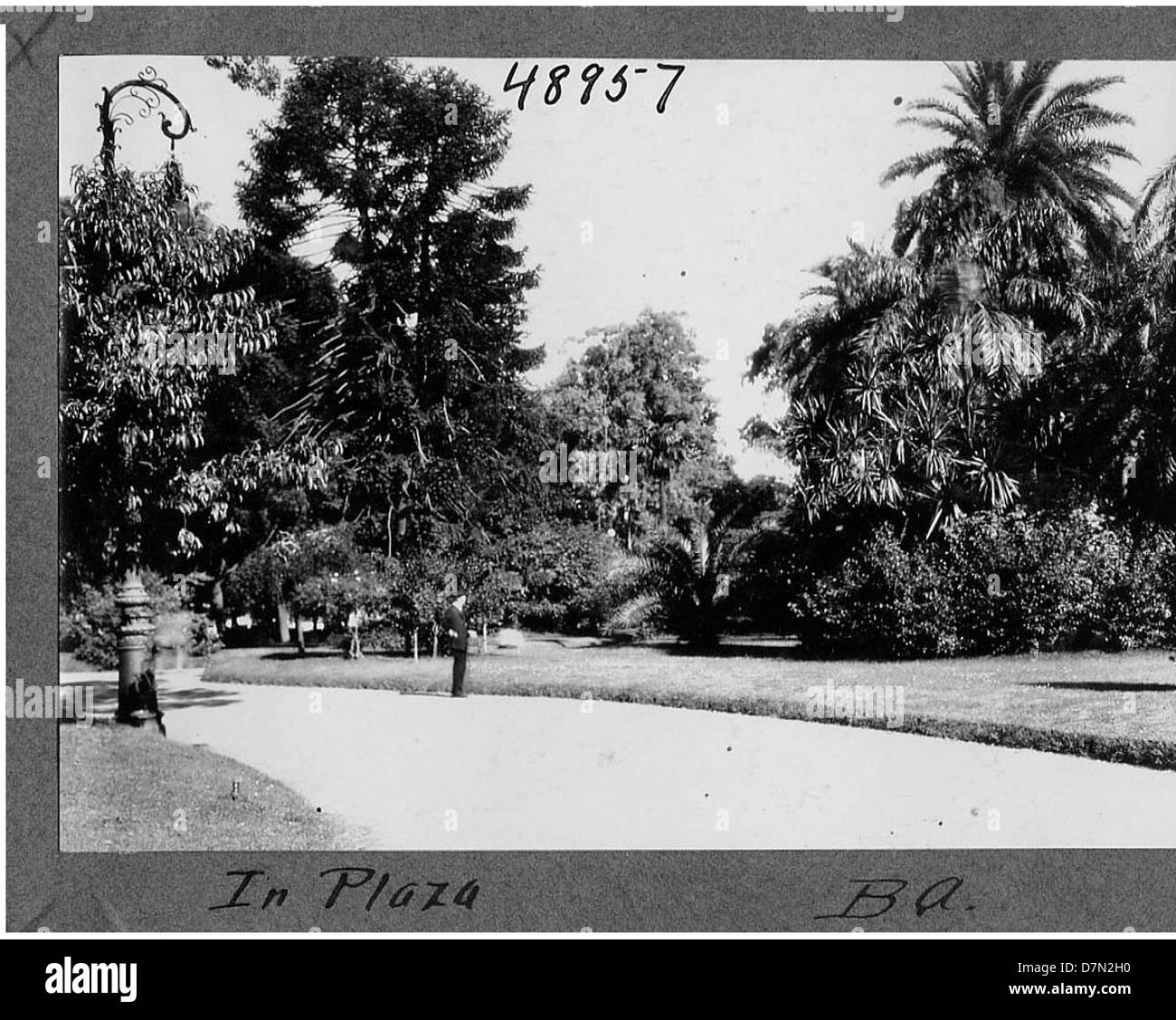 The Riggs expedition for vertebrate paleontology, led by Harold and ...