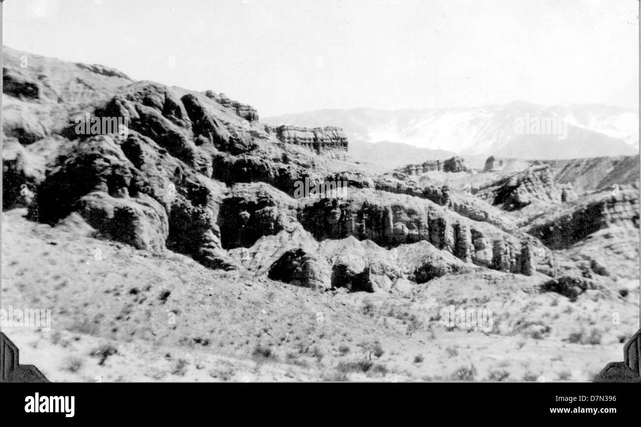 Pliocene fossils Black and White Stock Photos & Images - Alamy