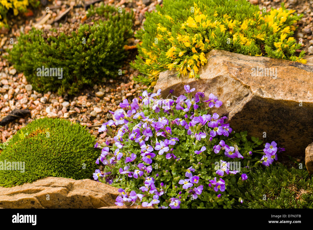Spring garden in full bloom Stock Photo - Alamy