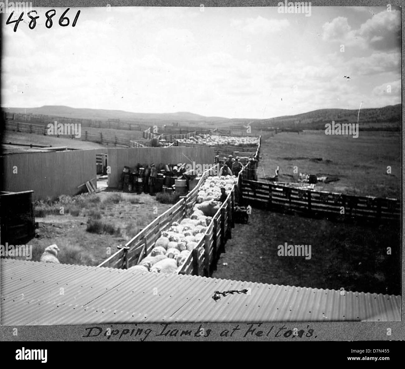 This image shows C. Harold Riggs and his team during an expedition for ...