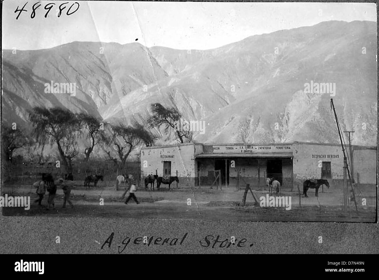 Role in paleontology hi-res stock photography and images - Alamy