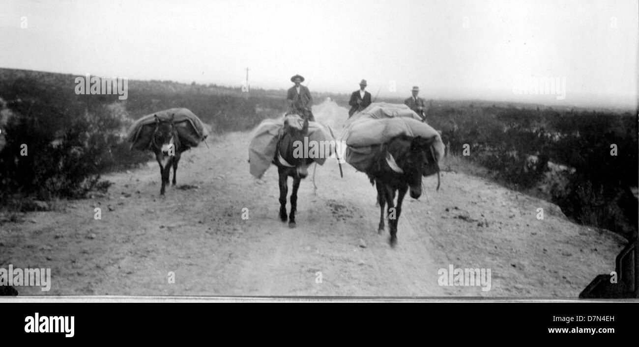 Pack train Black and White Stock Photos & Images - Alamy
