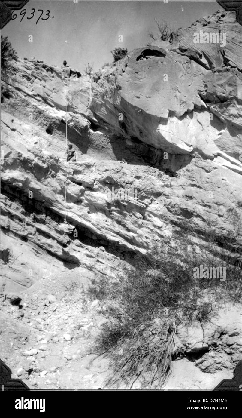 Elmer Riggs and Felipe Mendez lower a specimen of Doedicurus during ...