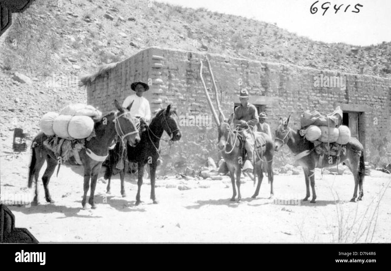 Specimen collecting Black and White Stock Photos & Images - Alamy