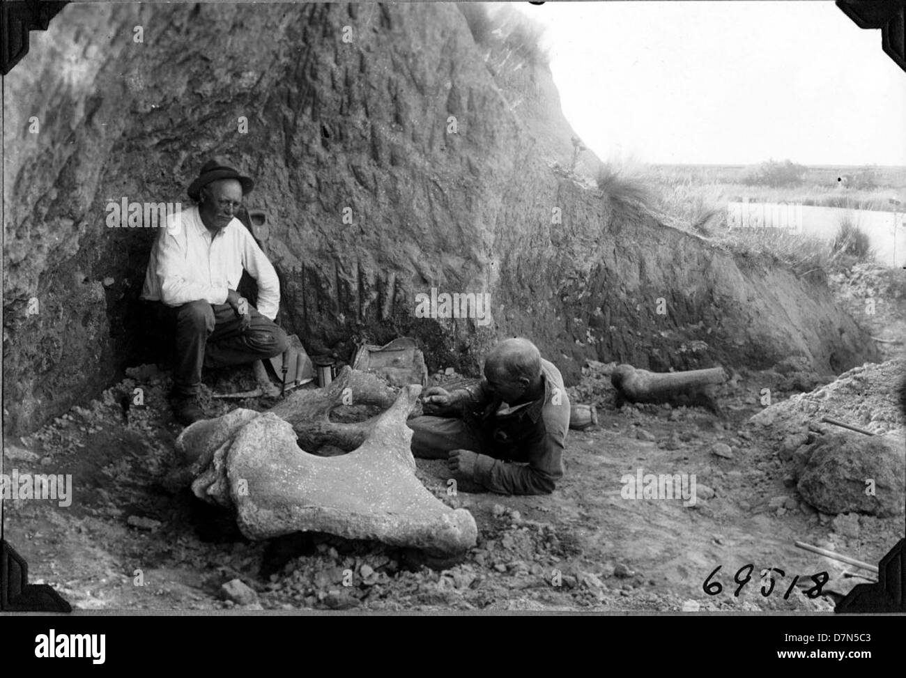 Elmer Riggs, paleontologist, is shown with a fossilized Cordilleron ...