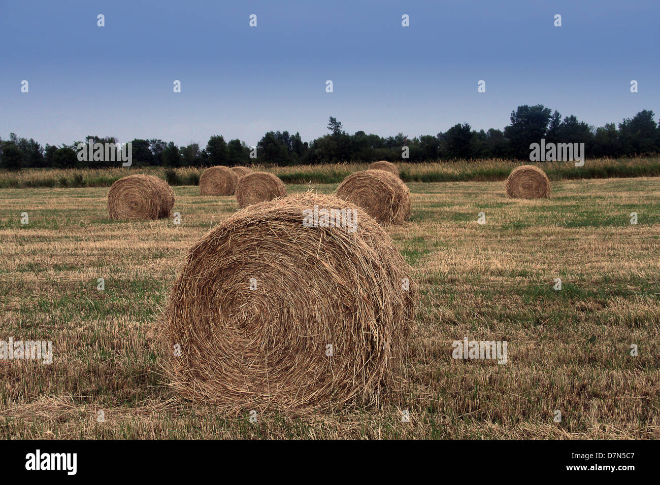 Hard sayings hi-res stock photography and images - Alamy