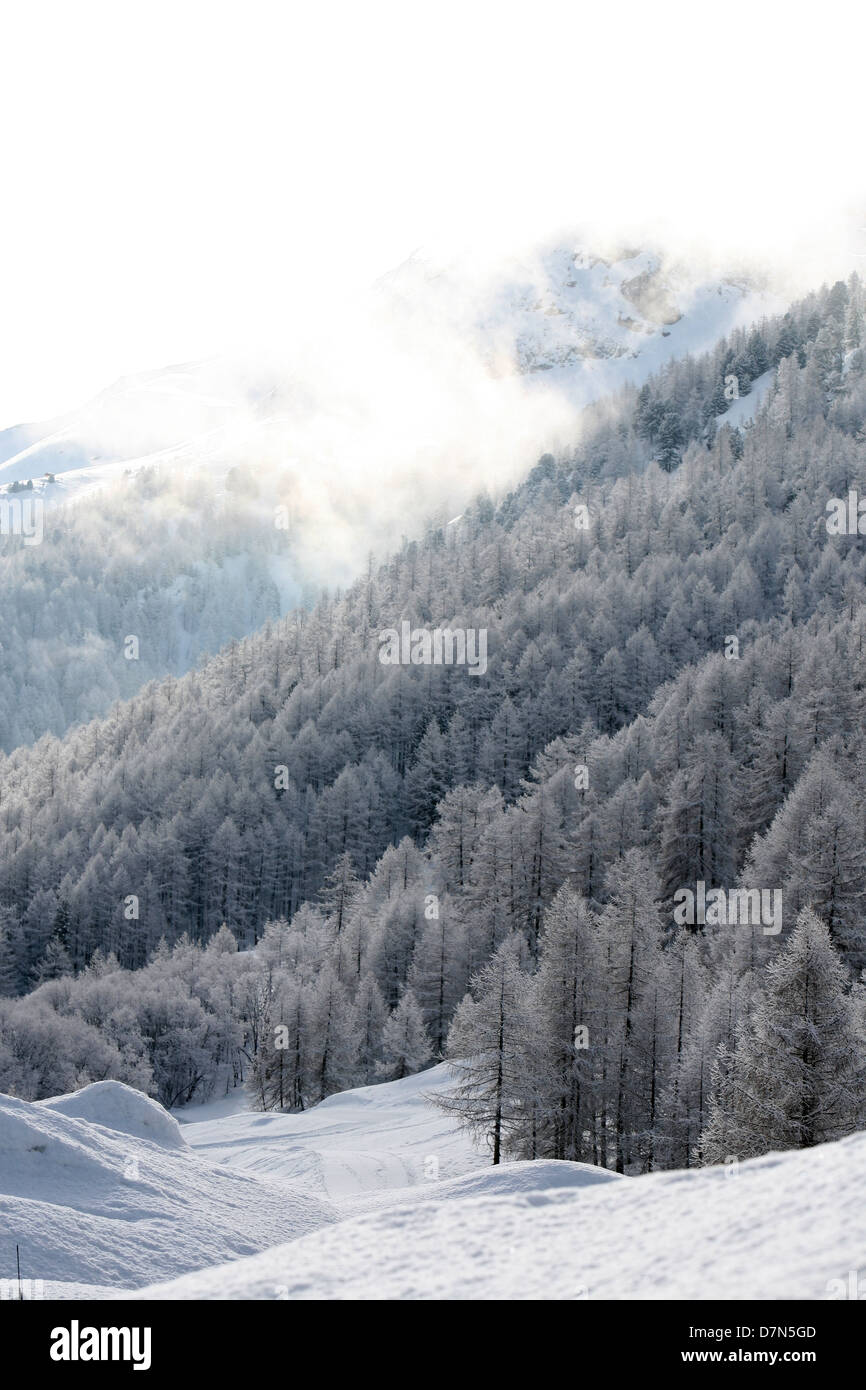 Alpsalpes hi-res stock photography and images - Alamy