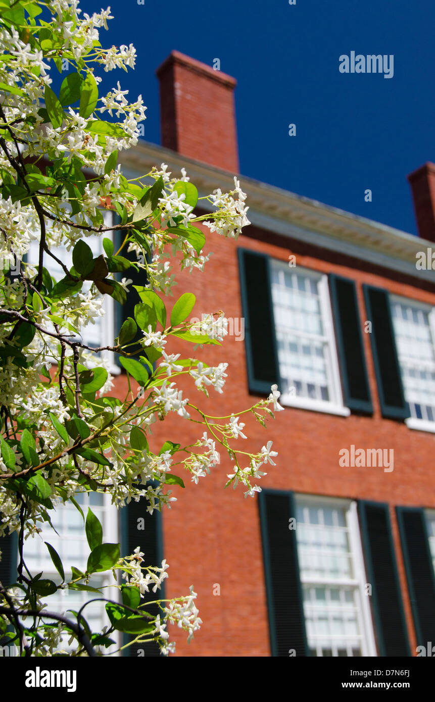 Mississippi, Natchez. Spring Pilgrimage, Antebellum home 'Rosalie ...