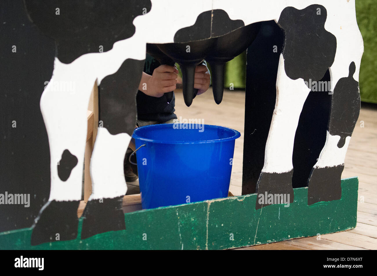 A visitor practices milking a cow on practice udders at the 23rd ...