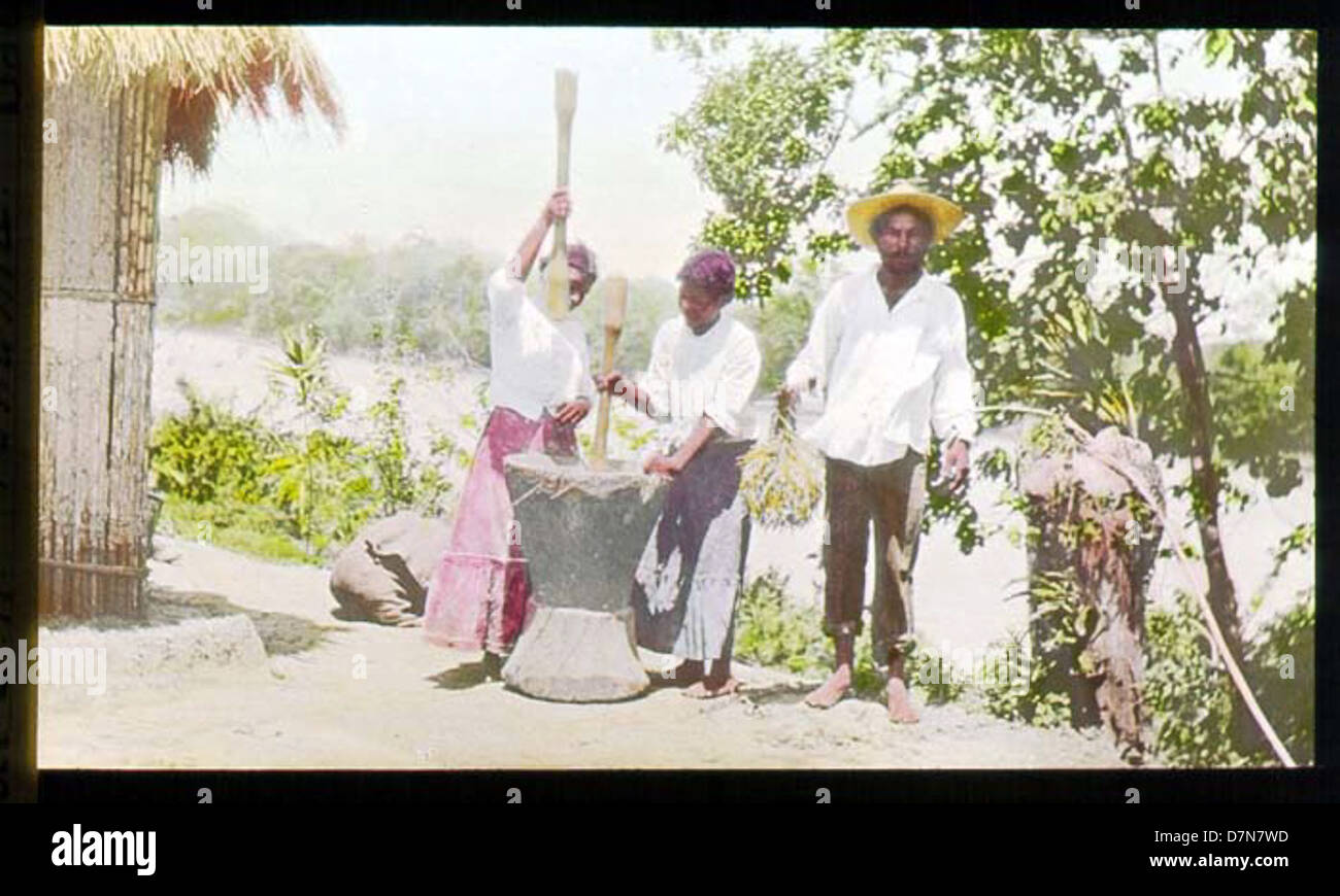 In the process of hulling rice Stock Photo - Alamy